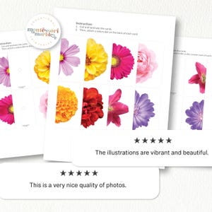 FLOWERS Symmetry Matching Puzzle | Montessori Inspired Visual Skill ...