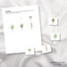 Life Cycle of a Tomato Plant Montessori Nomenclature Cards and Life ...
