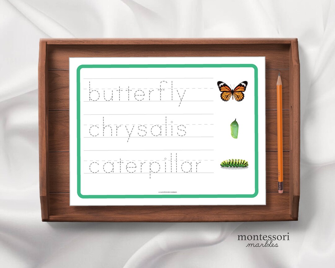 Butterfly Tracing Activities for Preschool and Kindergarten in - Etsy