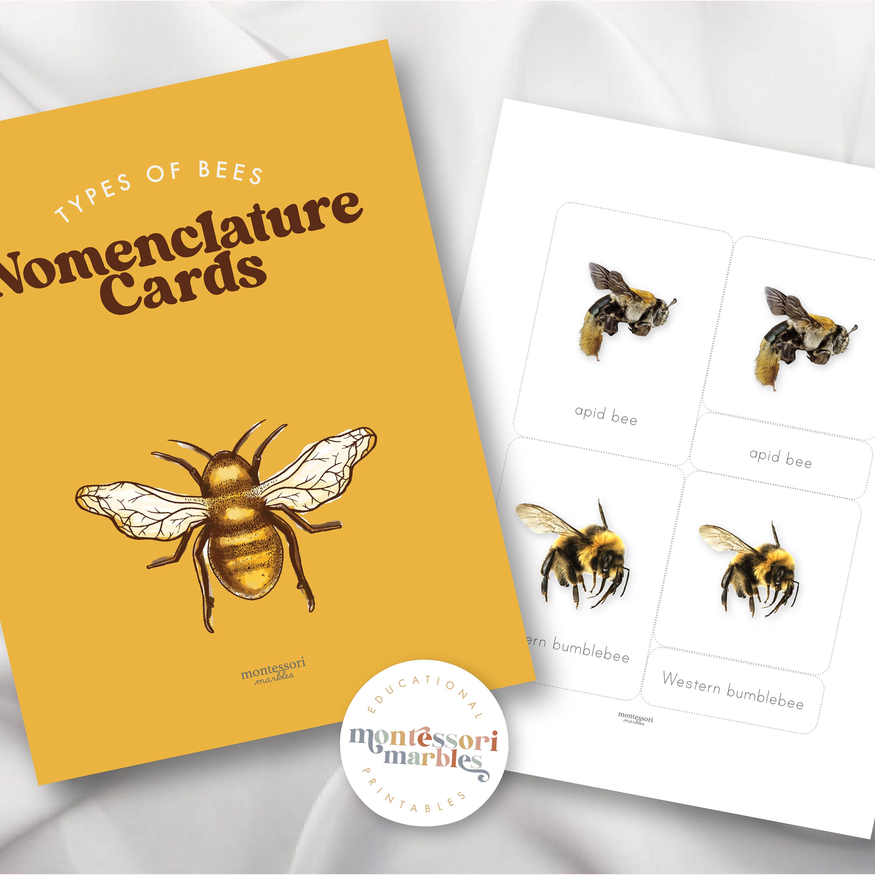 Bees and Wasps Nomenclature Cards | Montessori Spring Nature Study ...