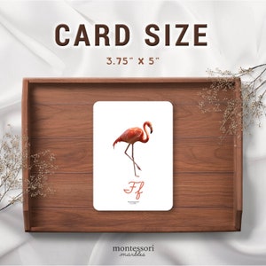 CURSIVE BEGINNING SOUNDS Flash Card Montessori, Phonics, Vocabulary ...