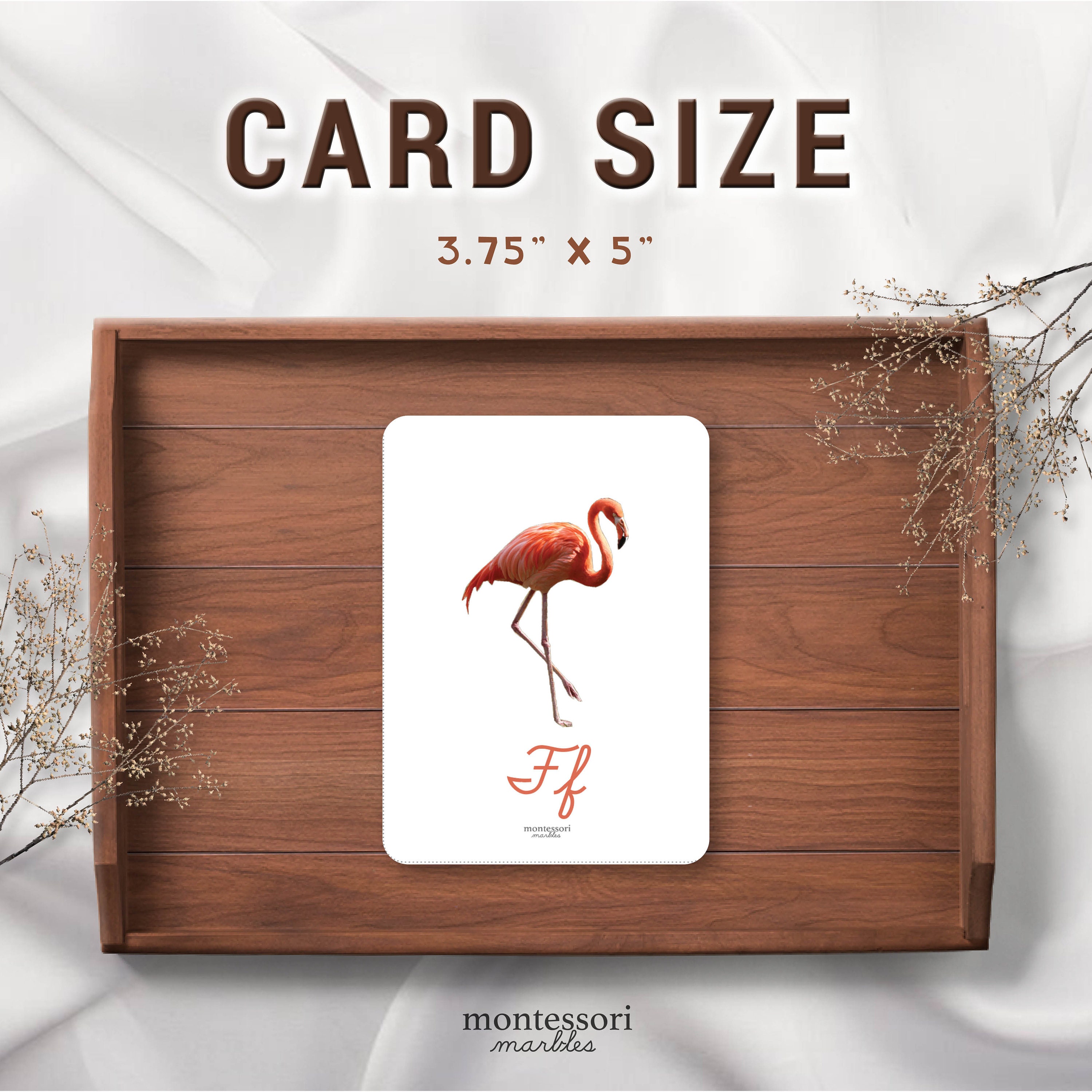 CURSIVE BEGINNING SOUNDS Flash Card Montessori, Phonics, Vocabulary ...