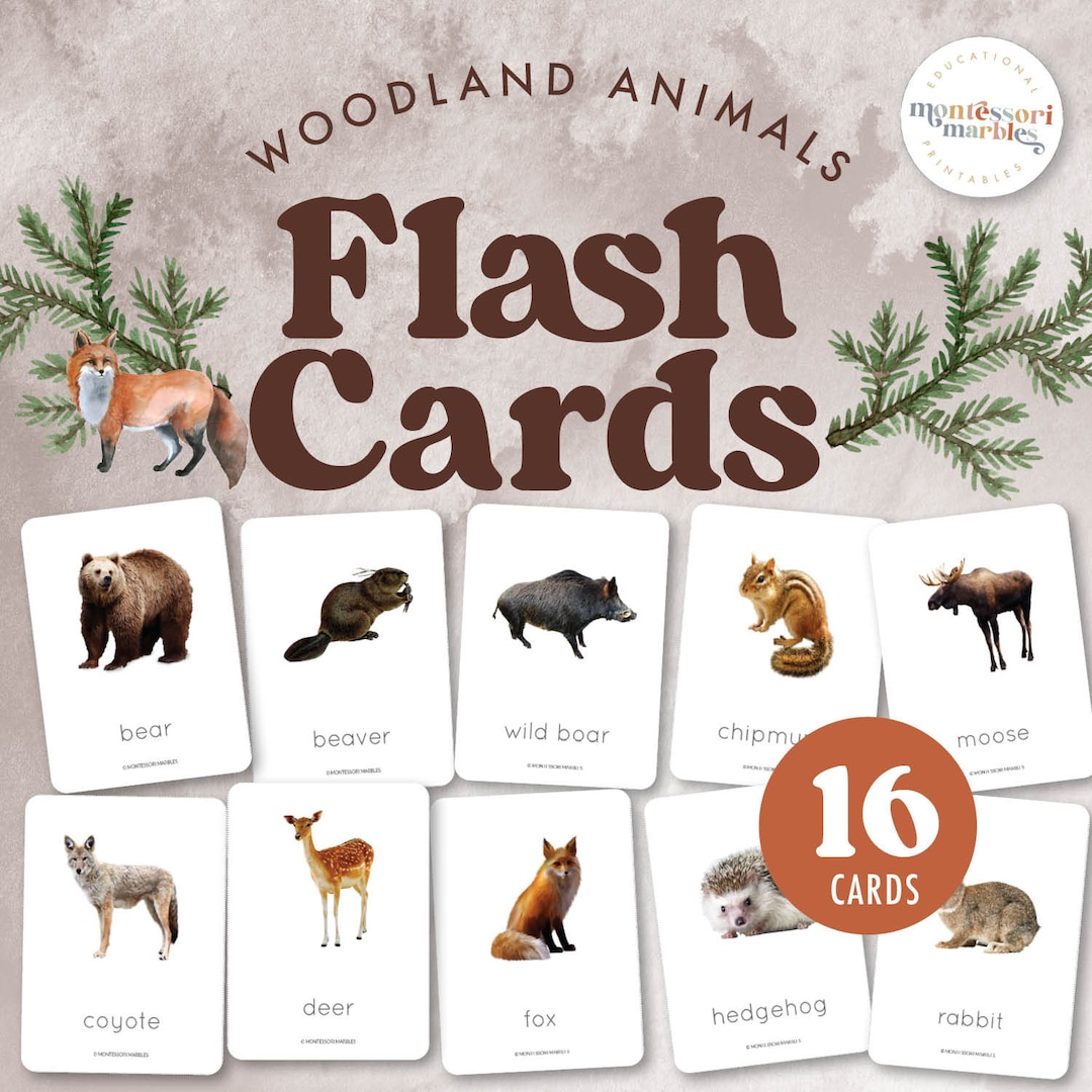 WOODLAND ANIMALS Flash Cards | Montessori Inspired Printable Resources ...
