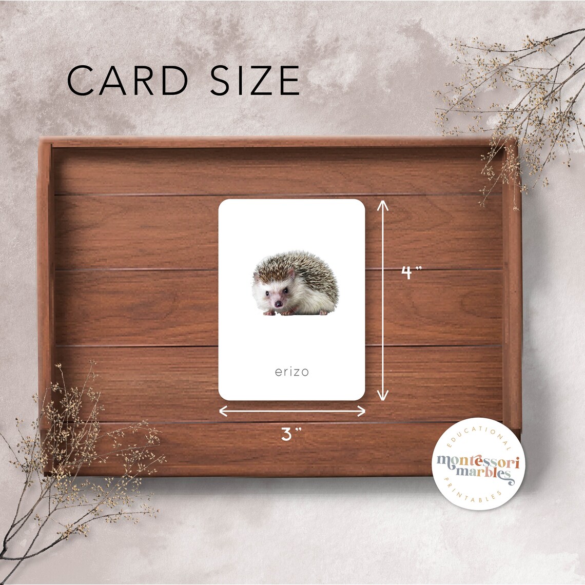 Animales Del Bosque Tarjetas | Spanish Forest Animals | Montessori ...