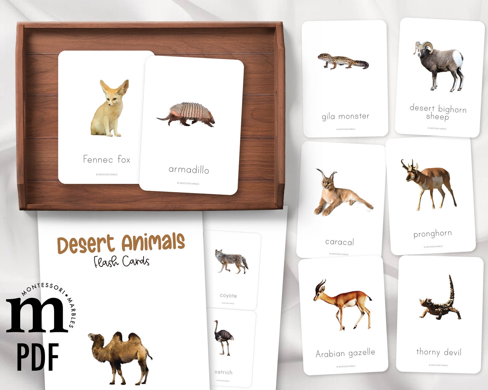 DESERT ANIMALS Flash Cards Vocabulary Builder Montessori Inspired ...