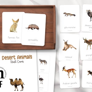 DESERT ANIMALS Flash Cards Vocabulary Builder Montessori Inspired ...