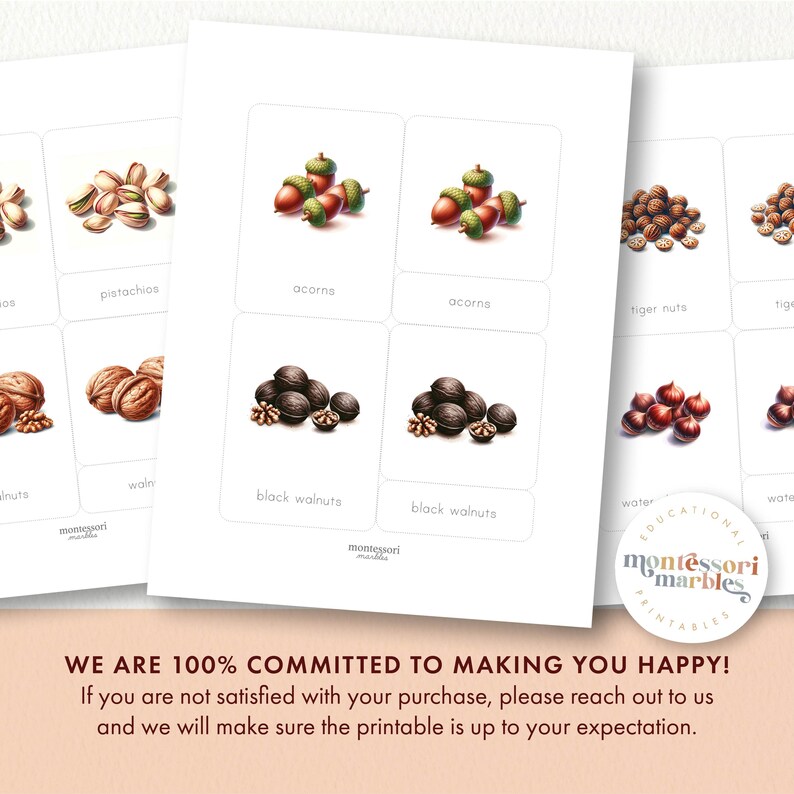 Types of Nuts Nomenclature Cards | 3-part Matching Cards Printable ...