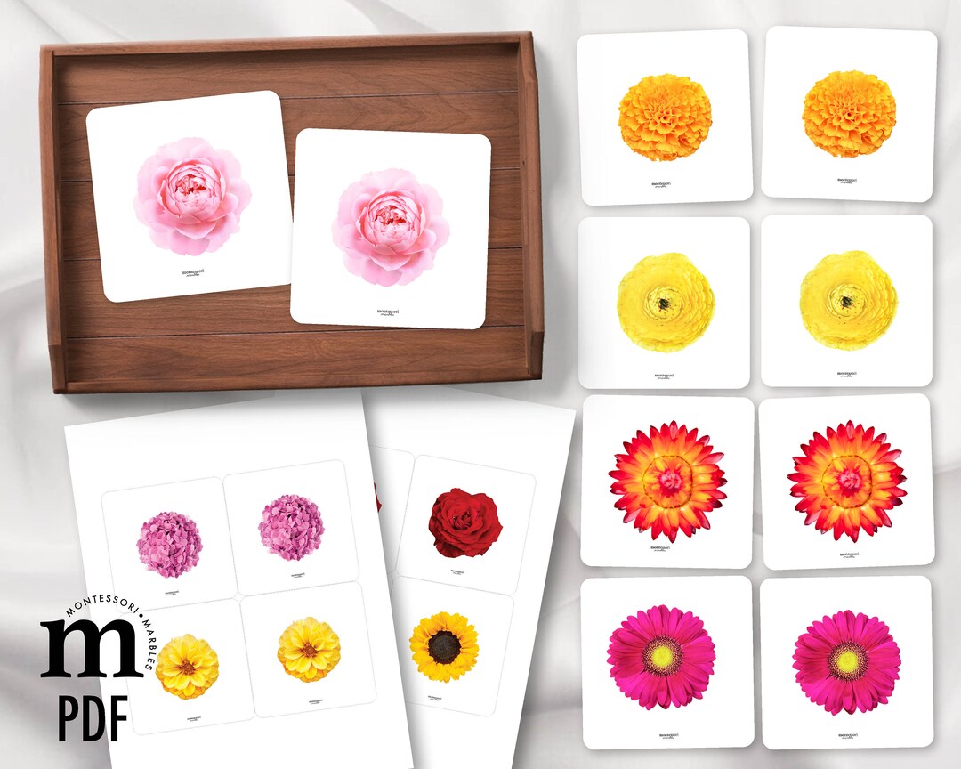 SPRING FLOWERS Matching and Memory Games Fun Activity for - Etsy