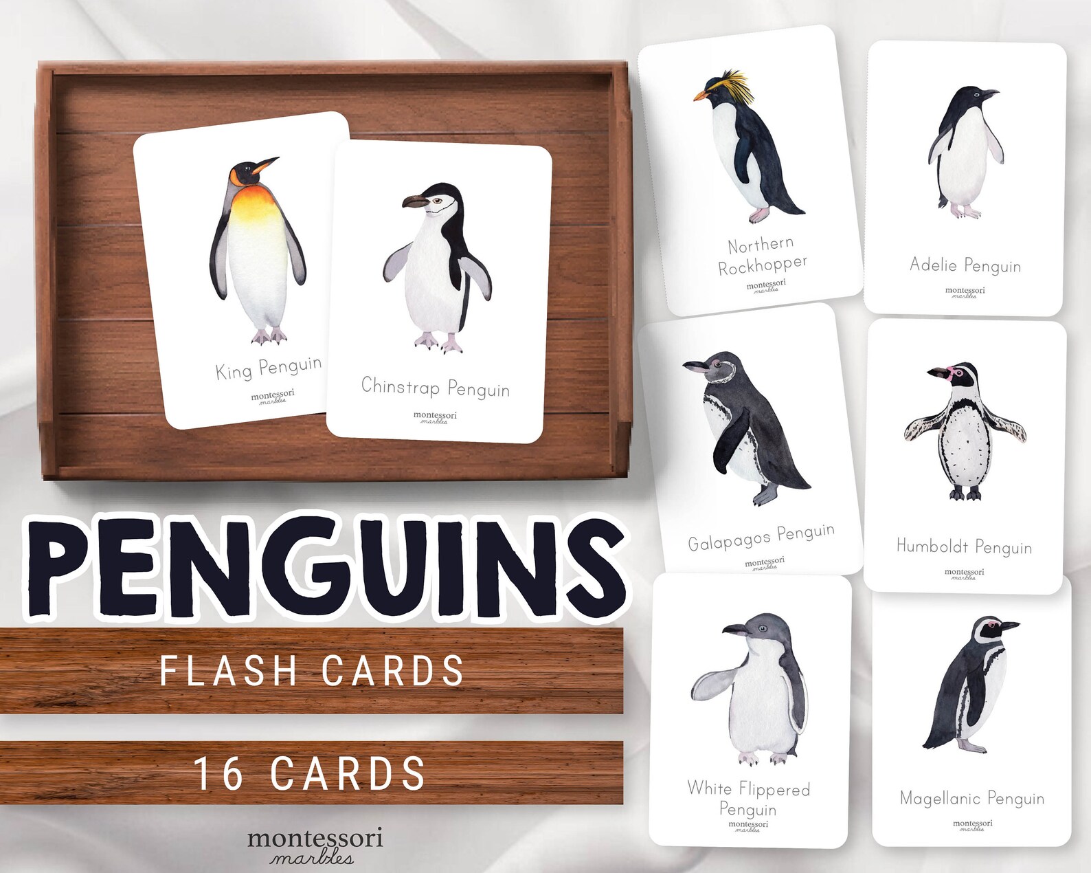 PENGUINS Montessori Flash Cards Types of Penguins - Etsy