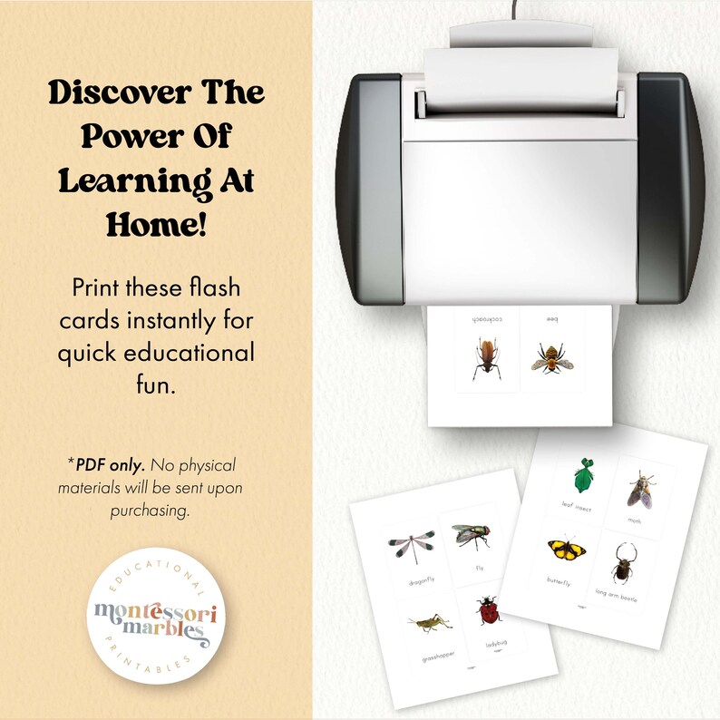 Insects Flash Cards | Montessori Nature Vocabulary Builder | Preschool ...