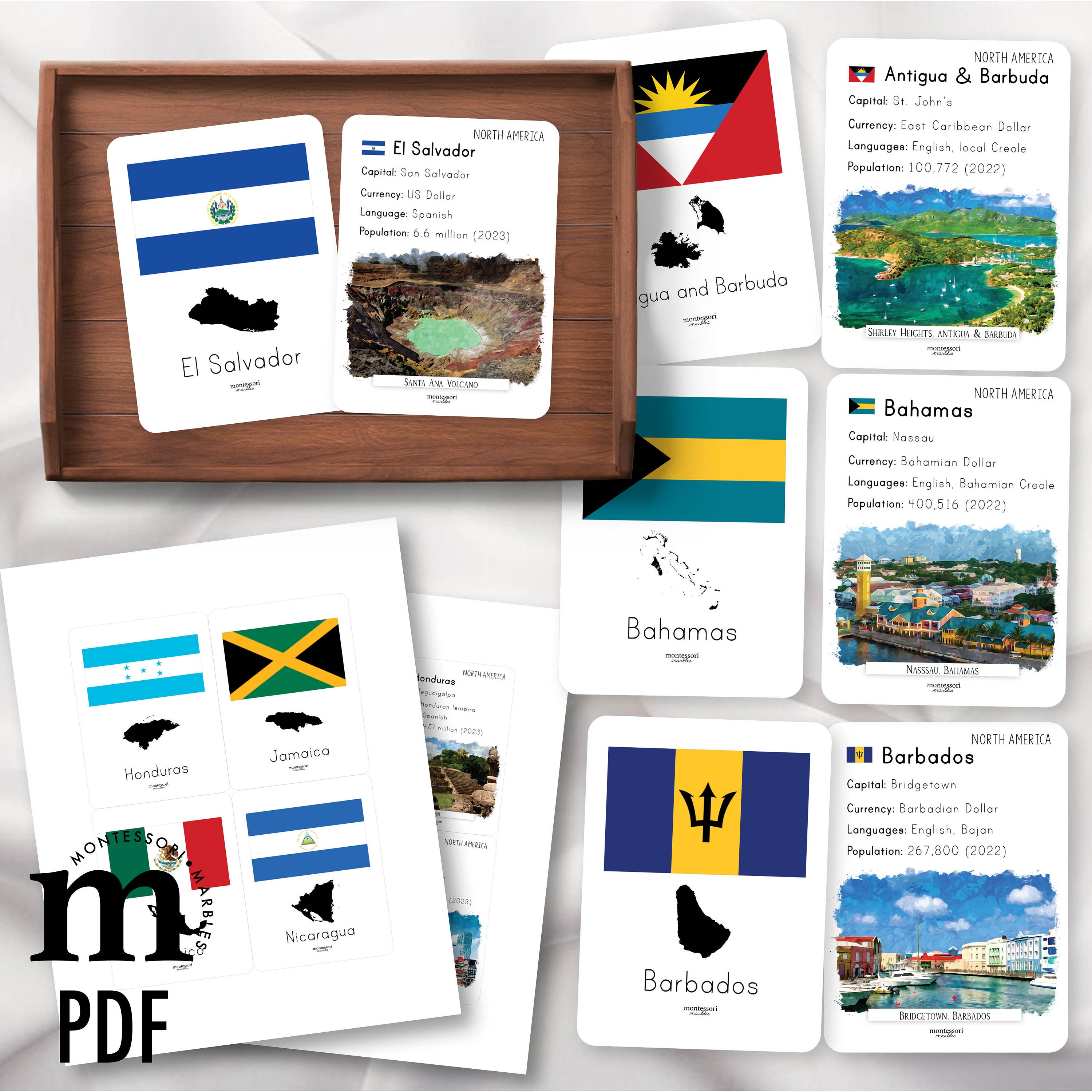 NORTH AMERICA Fact Cards With Watercolor Painting Montessori - Etsy