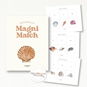 SEASHELLS Magnifying Matching Game | Montessori at Home Using ...