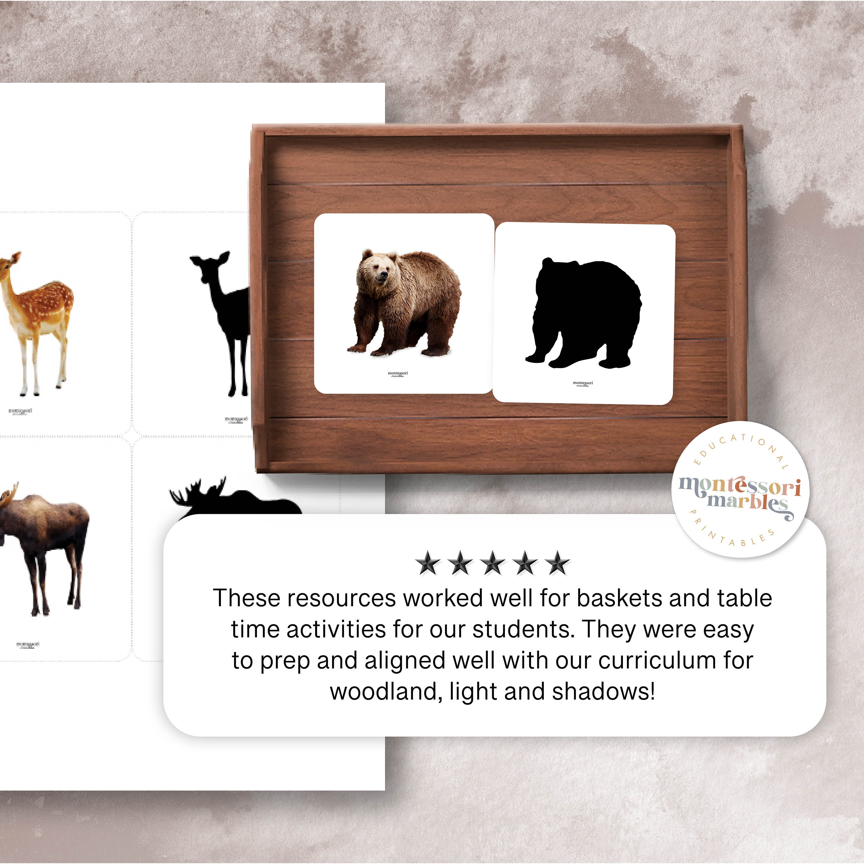 Woodland Animals Shadow Matching | Silhouette Game 10 Forest Animals ...