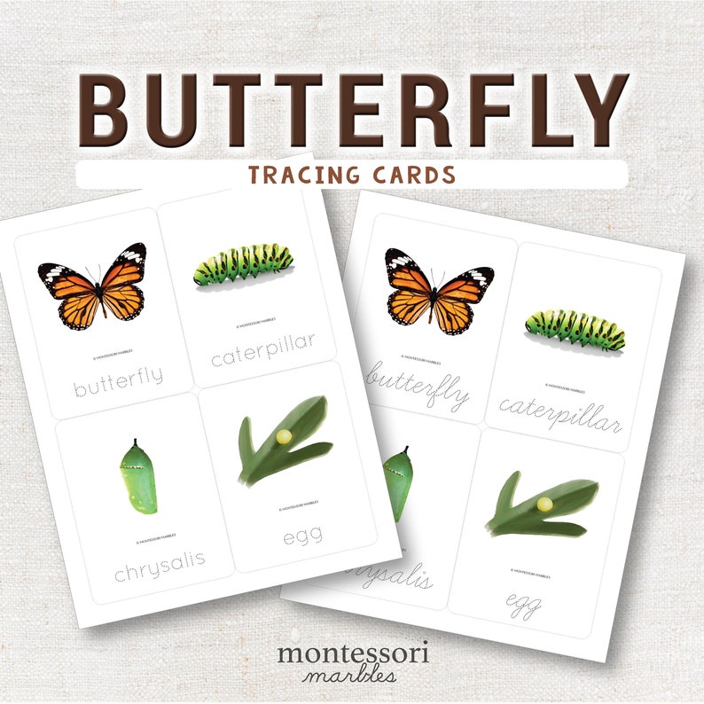Butterfly Tracing Activities for Preschool and Kindergarten in | Etsy