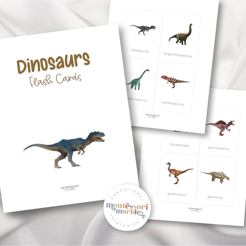 Dinosaurs Flash Cards | Montessori Paleontology Vocabulary | Dinosaur ...