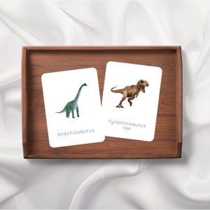 DINOSAURS Flash Cards 18 Flashcards Montessori Inspired Homeschool ...