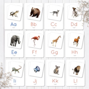 BEGINNING SOUNDS Matching Cards Montessori Activity Cards - Etsy