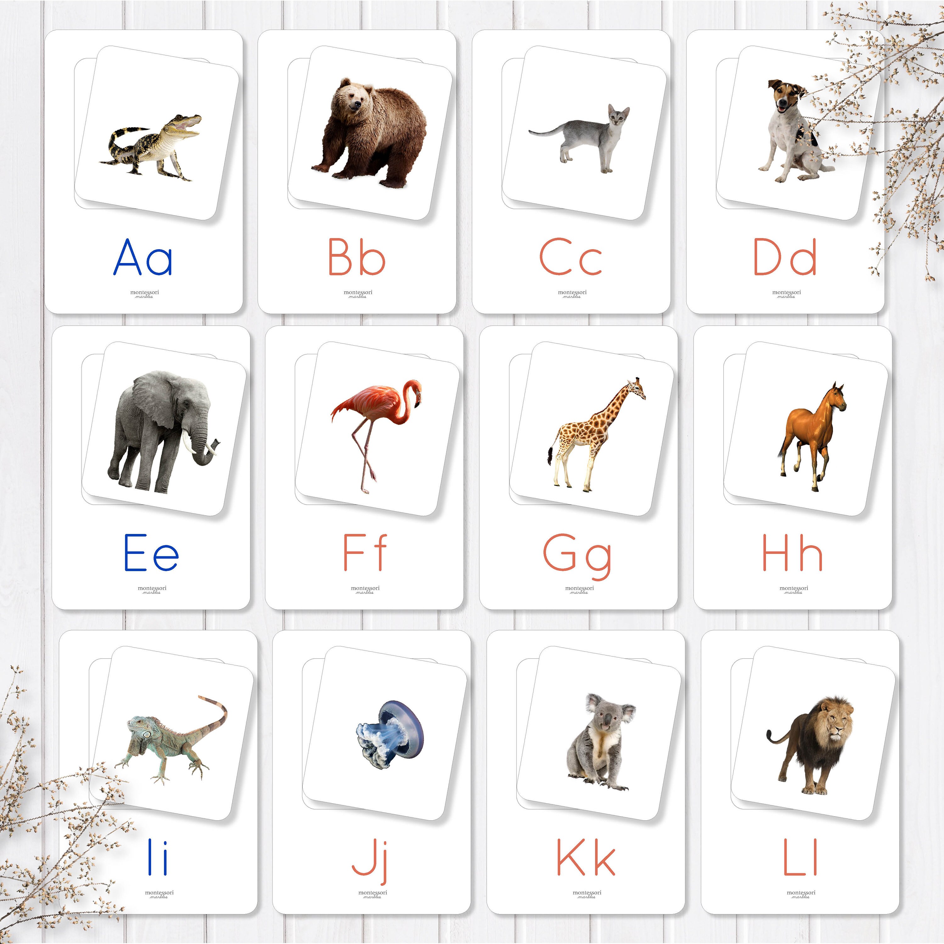 BEGINNING SOUNDS Matching Cards Montessori Activity Cards - Etsy