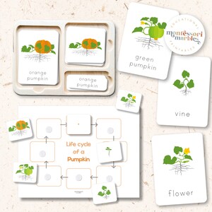 FALL BUNDLE Montessori Inspired Activities for Kindergarten | Visual ...