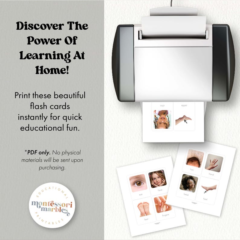Human Body Parts Flash Cards | Montessori Homeschool Anatomy Printable ...