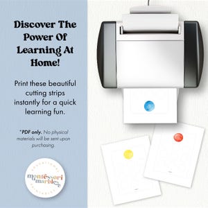 PRIMARY COLORS Sorting Cards, Montessori Inspired Activities, Preschool ...