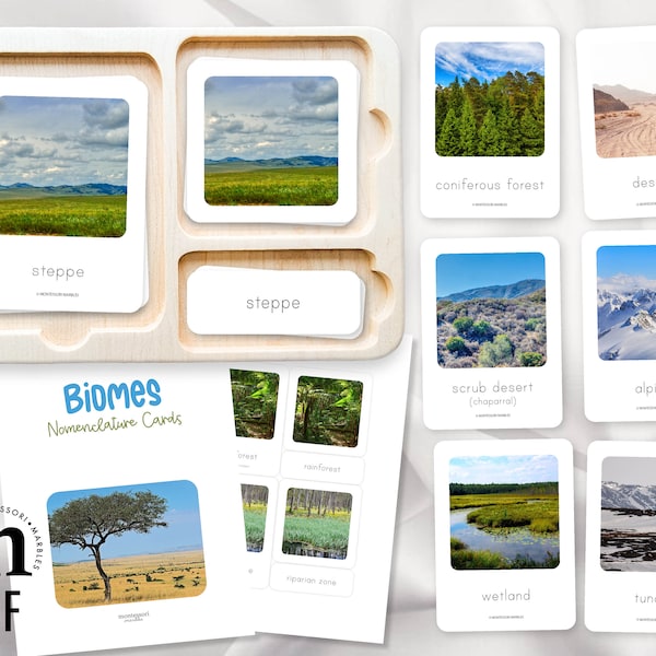 Biomes Flash Cards - Etsy