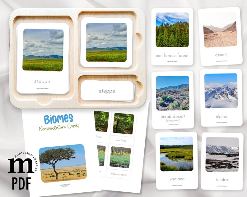 BIOMES Nomenclature Cards Montessori Inspired Cards Social - Etsy