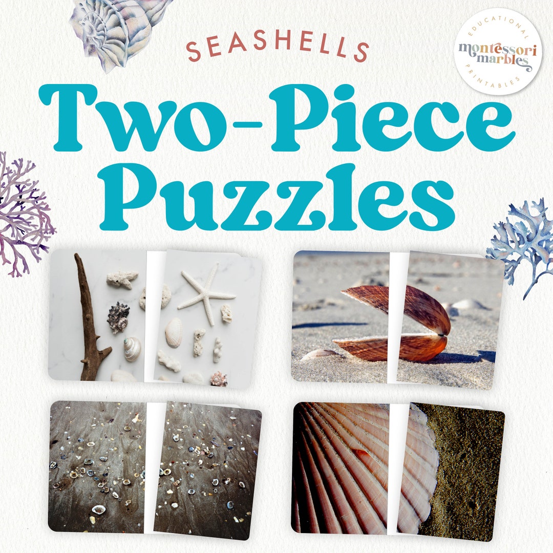 SEASHELLS, Montessori Picture Matching Activity, Toddlers Matching Game ...