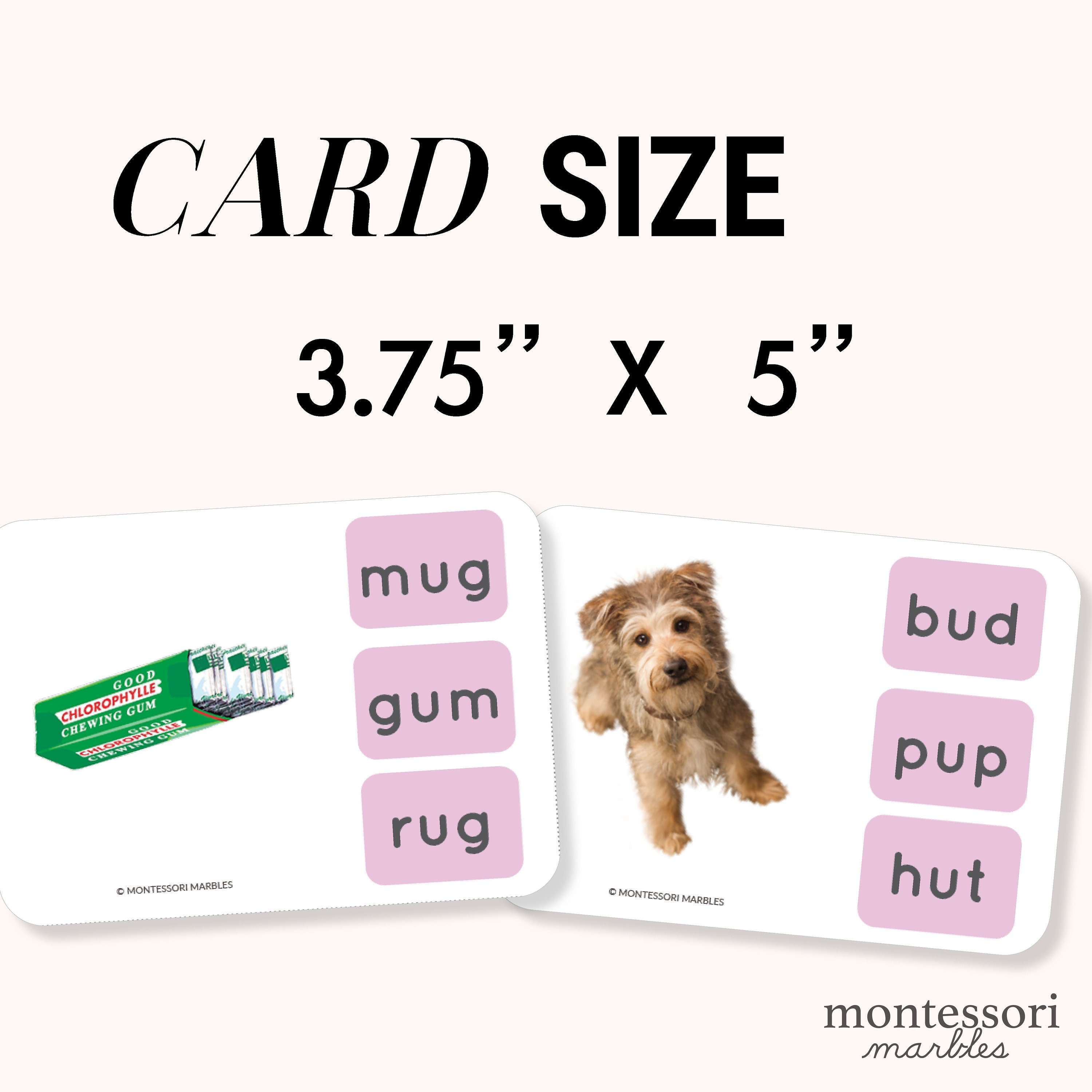 Montessori Pink Series Name the Objects SHORT U Flash Card Printable ...