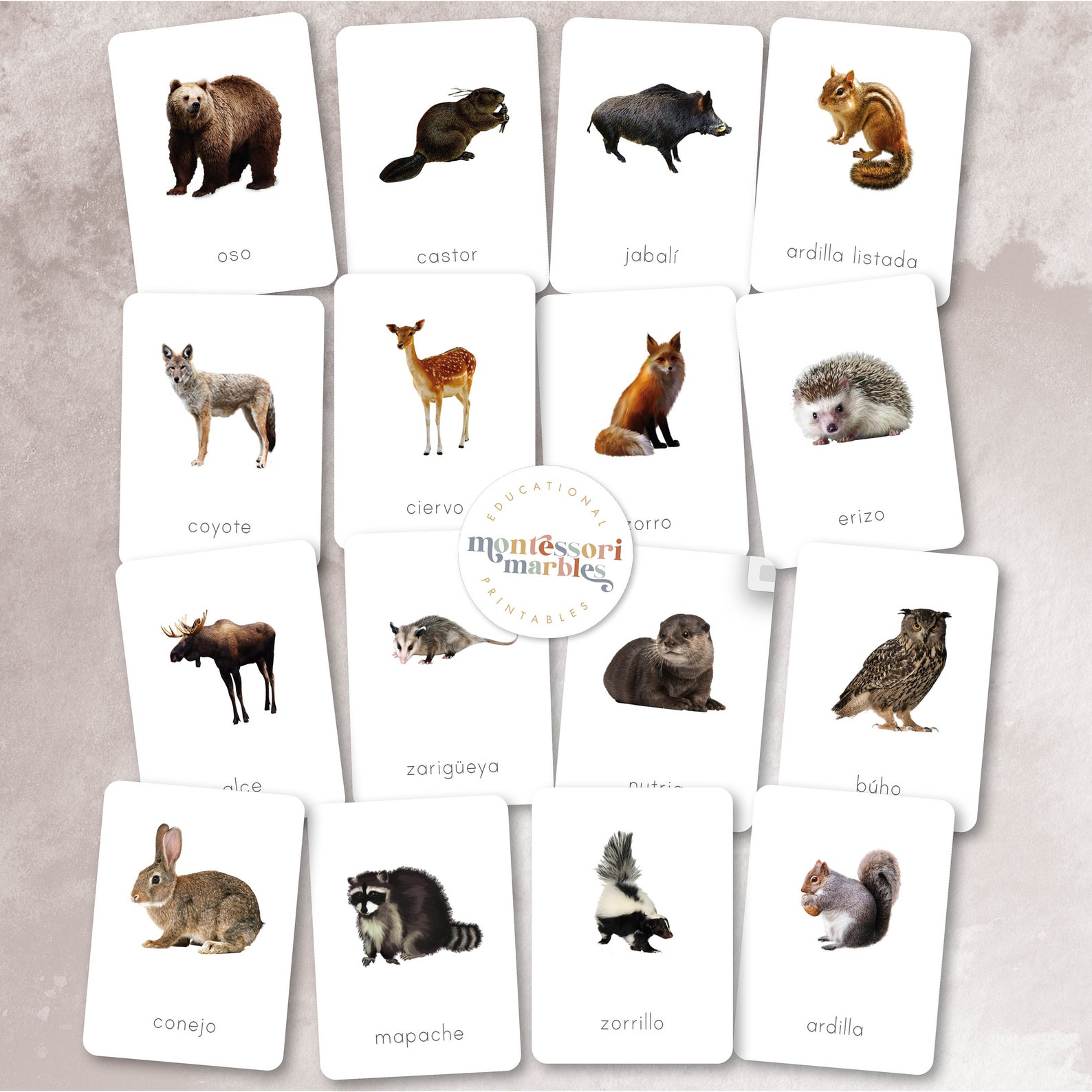 Animales Del Bosque Tarjetas | Spanish Forest Animals | Montessori ...