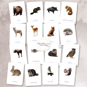 ANIMALES DEL BOSQUE Tarjetas Didácticas | Woodland Animals | Spanish ...