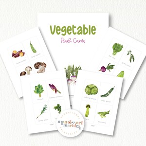 VEGETABLE Flash Cards Montessori Inspired Resources for Preschool ...