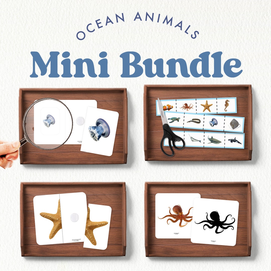 Ocean Animals Mini Bundle | Montessori Science | 4 Fine Motor ...
