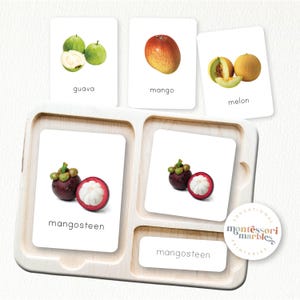 FRUITS Nomenclature Cards | Montessori Inspired Resources With Real ...