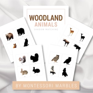 WOODLAND ANIMALS Shadow Matching Montessori Inspired Silhouette ...