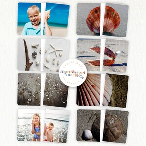 SEASHELLS Activity Bundle | Montessori Inspired Resources | Summer ...