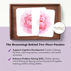 FLOWERS Symmetry Matching Puzzle | Montessori Inspired Visual Skill ...