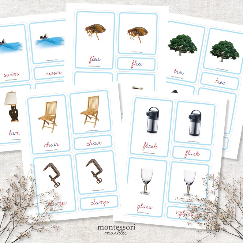 CURSIVE MONTESSORI BLUE Series Montessori Nomenclature Cards | Etsy