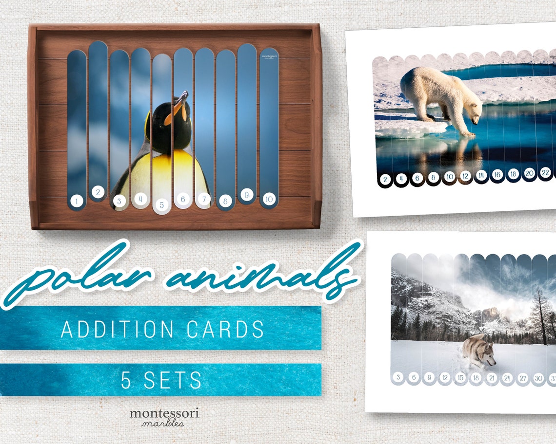 POLAR ANIMALS Skip Counting Craft Stick Puzzles Jumbo Craft | Etsy