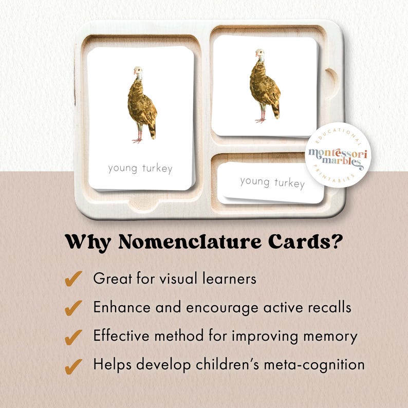 Turkey Life Cycle Cards Printable | Thanksgiving Science Activity ...