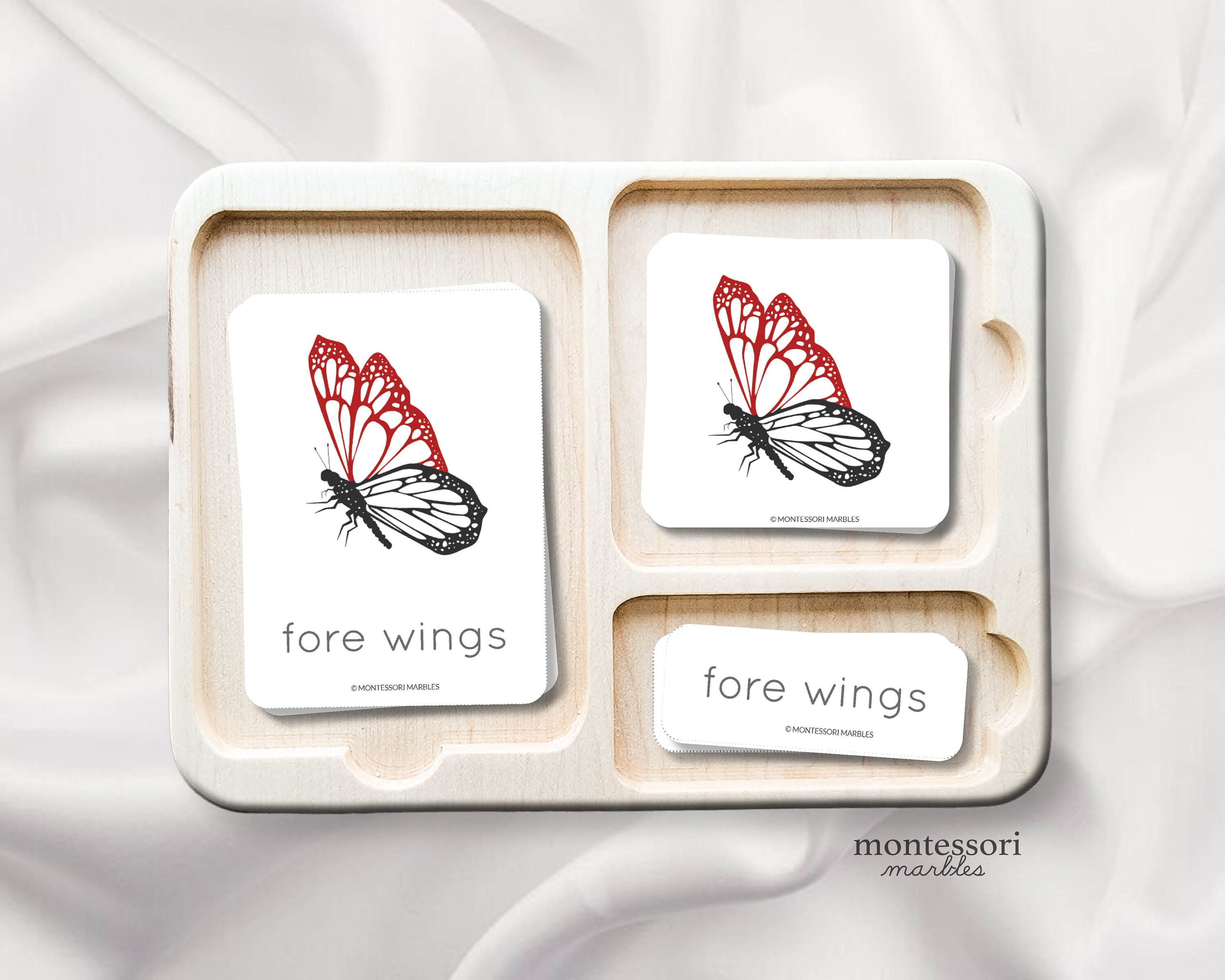 Parts of a Butterfly Montessori Nomenclature Three-part - Etsy