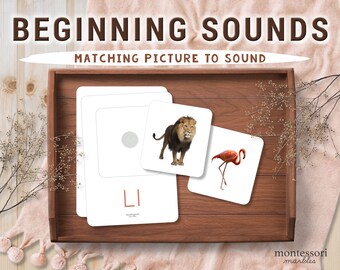 Beginning to Read | Etsy