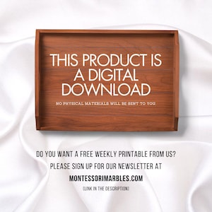 MONTESSORI GOLDEN BEADS Nomenclature Cards | Kindergarten Math Counting ...