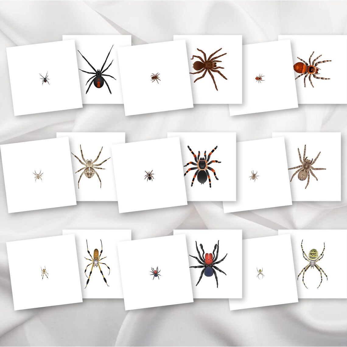 SPIDERS Magnifying Matching Game Montessori at Home Using - Etsy