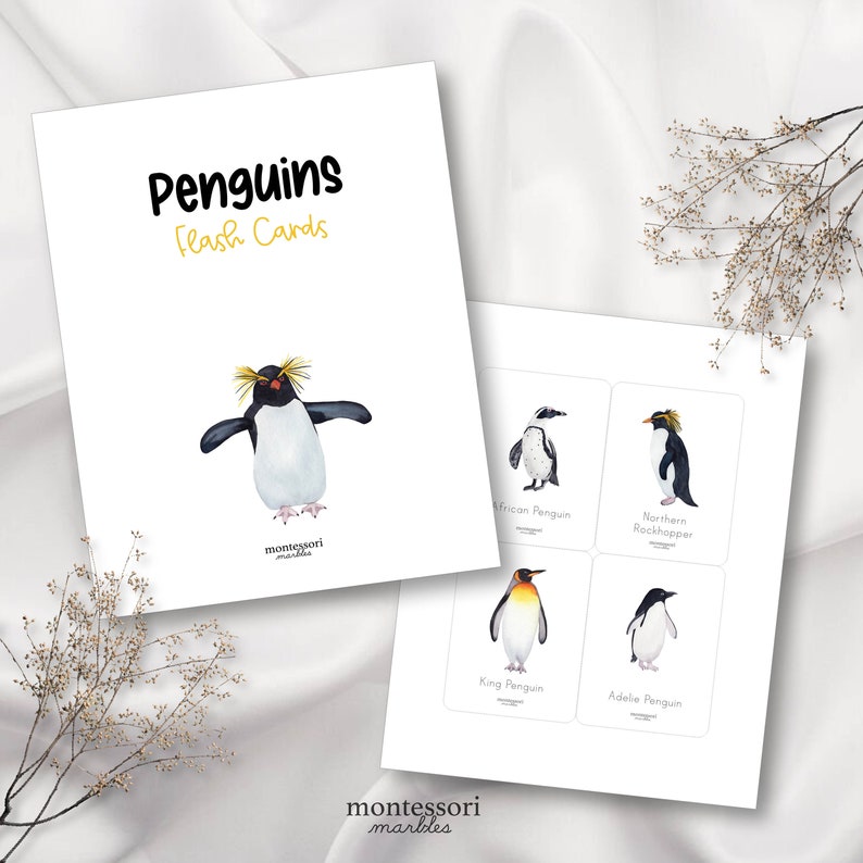 PENGUINS Montessori Flash Cards Types of Penguins - Etsy