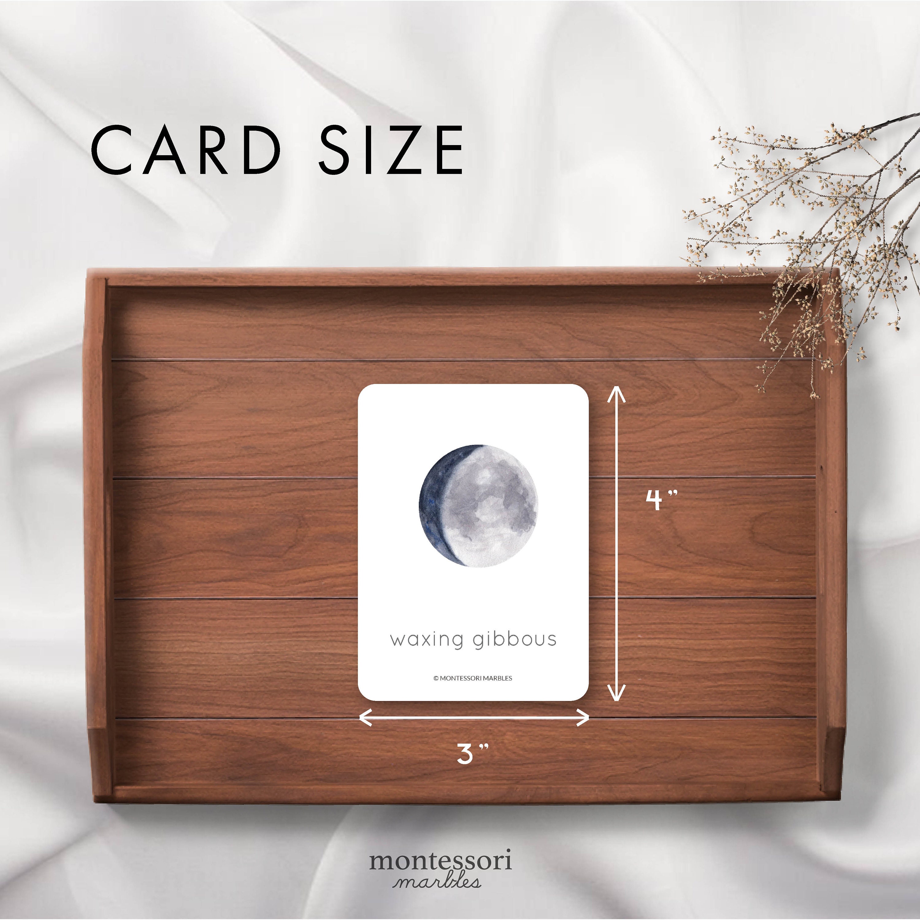 MOON PHASES Montessori Nomenclature Cards Montessori at Home - Etsy