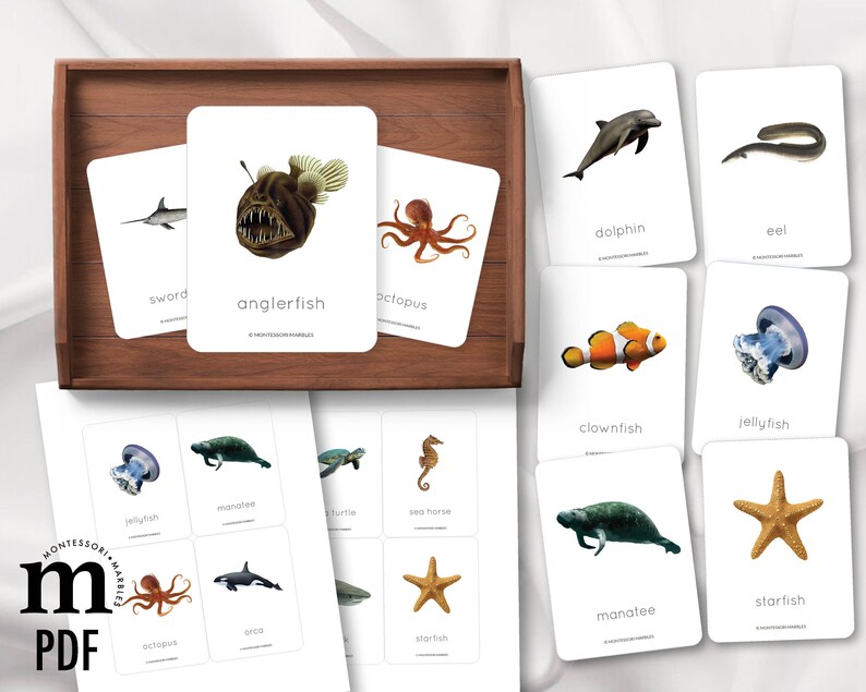 OCEAN ANIMALS Flash Cards Montessori Inspired Resources With Real ...
