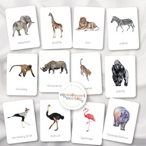SAFARI ANIMALS Mini Bundle | 4 Sensory and Fine Motor Activities for ...
