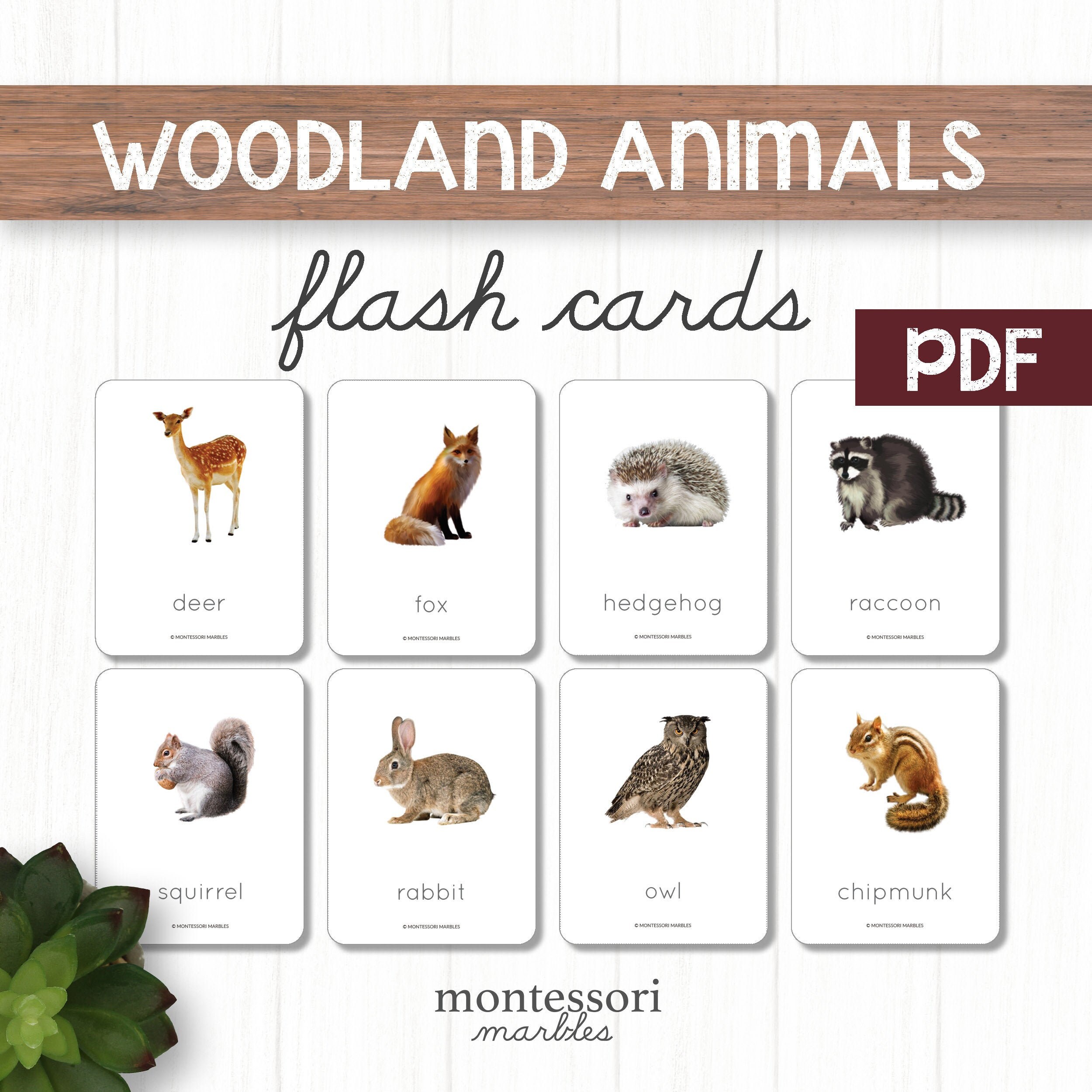 WOODLAND ANIMALS Flash Cards Montessori Resources Preschool | Etsy