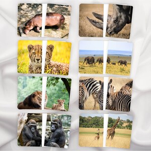 SAFARI ANIMALS Mini Bundle | 4 Sensory and Fine Motor Activities for ...